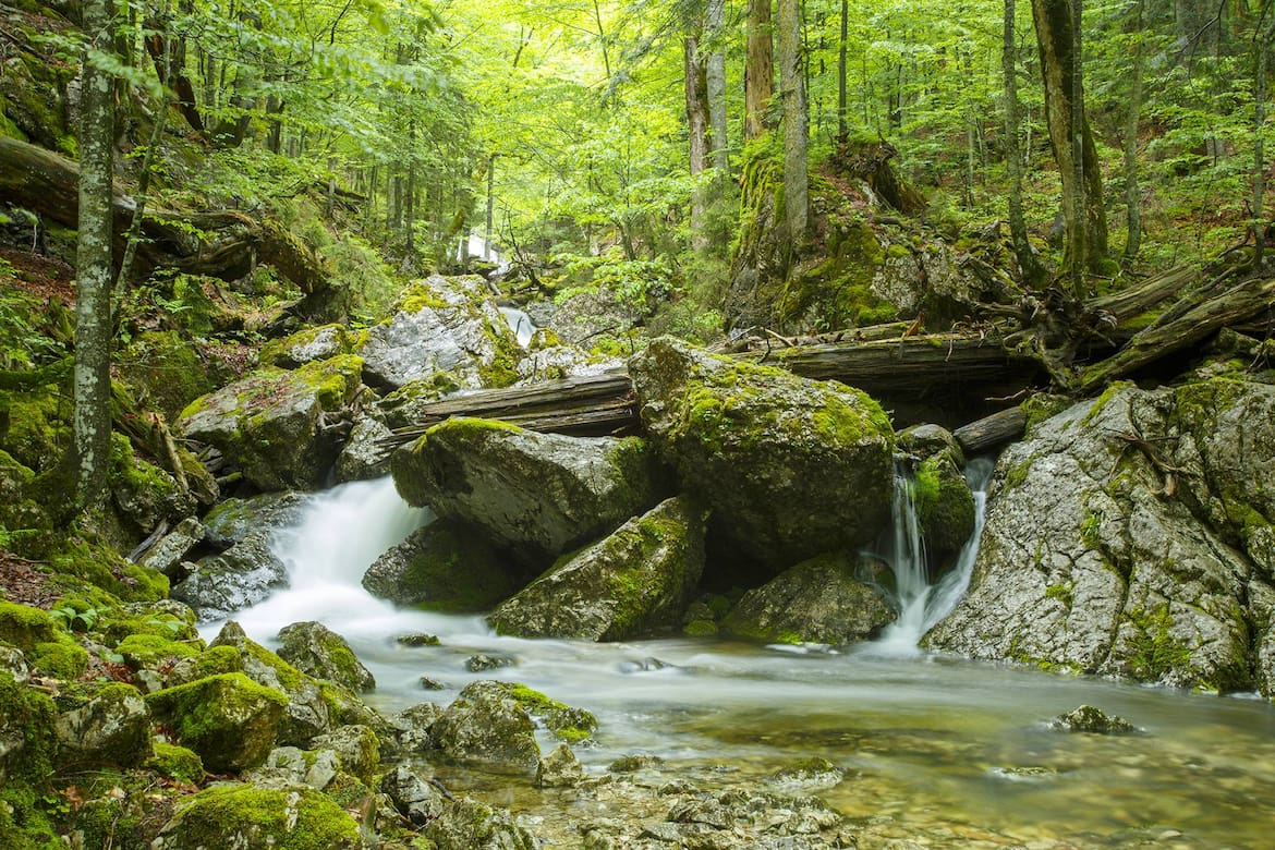 Ausflugsziele rund um das Wildnisgebiet Dürrenstein - Servus
