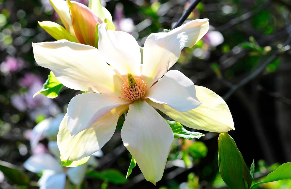 Zu Besuch bei Bella Bayer-Lueger & Karl Lueger im steirischen Hartberg ...