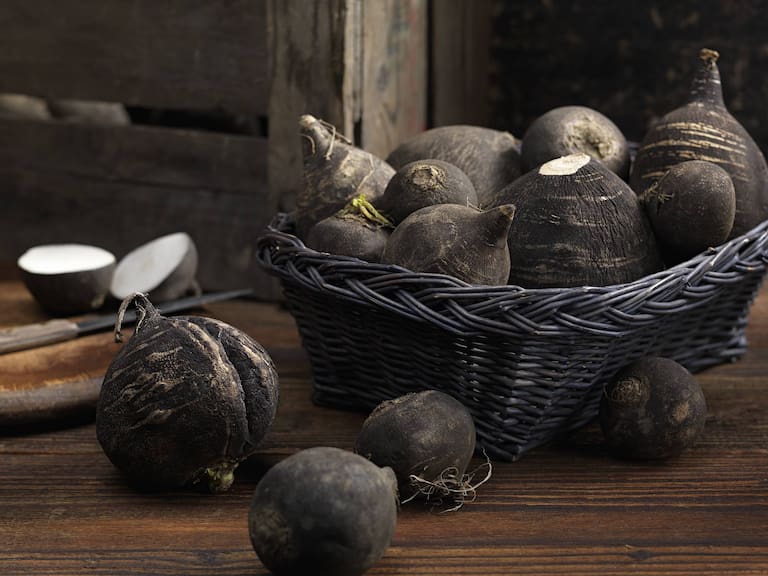 Schwarzer Winterrettich - Servus