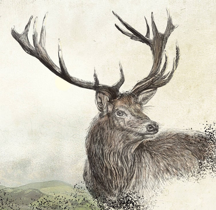 Die Symbolik der Tiere - Servus