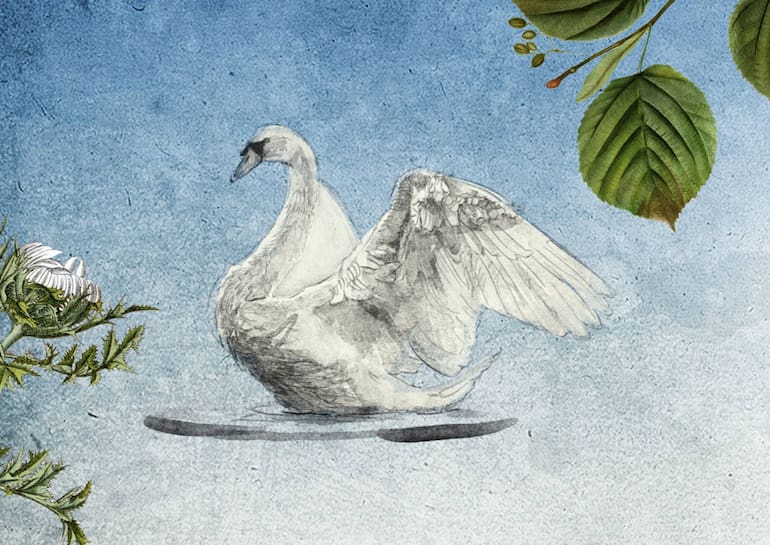 Die Symbolik der Tiere - Servus