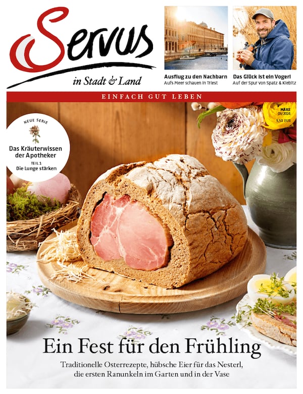 Servus Akademie - Servus